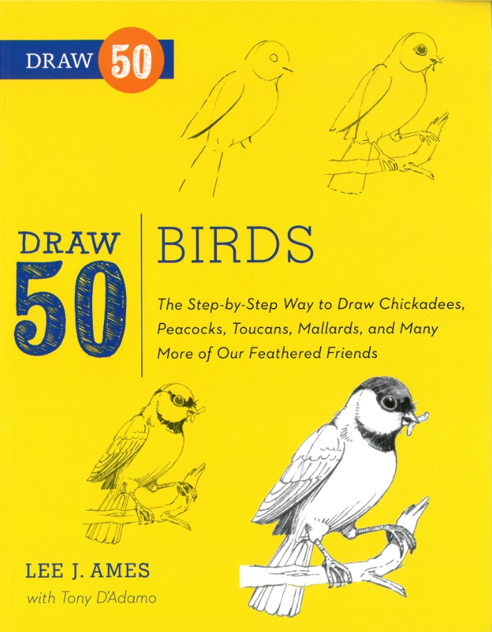 Draw 50 Birds | Gospel Publishers USA
