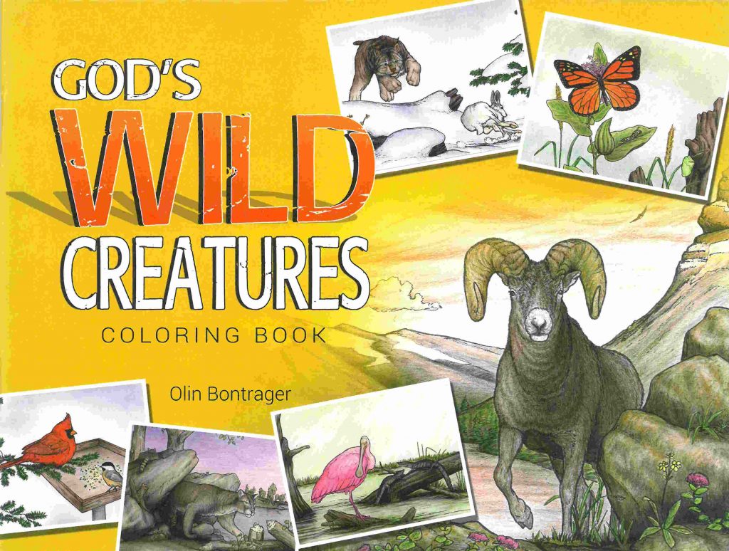 Coloring Books | Gospel Publishers USA