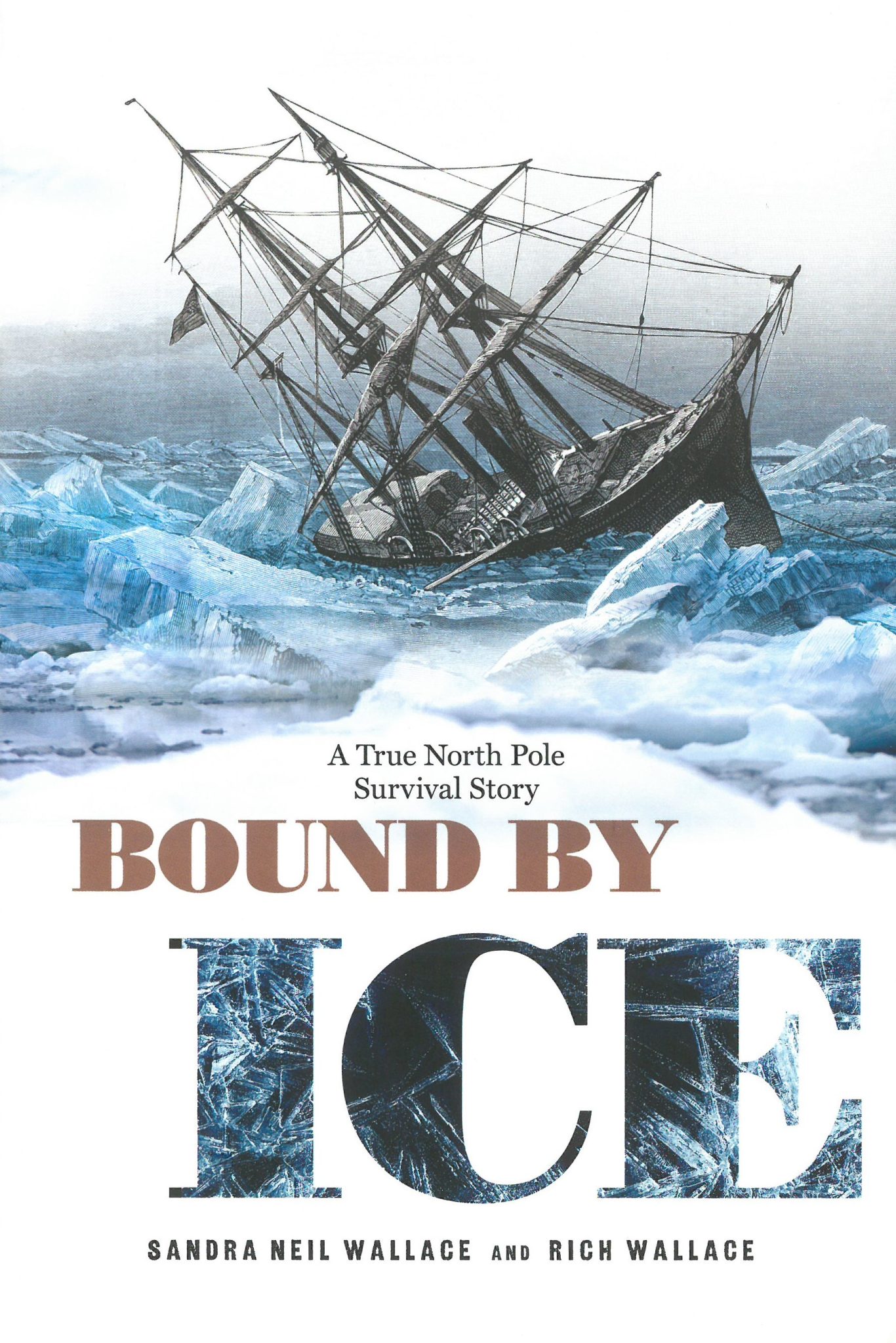 School Library Books | Gospel Publishers USA